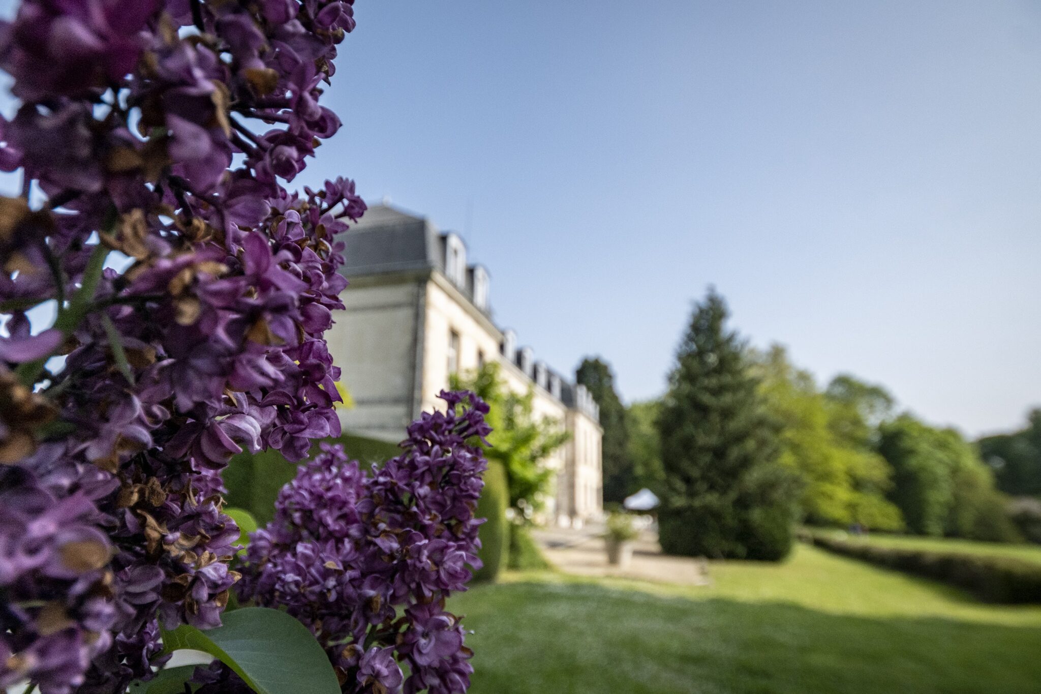 Débuter l'alto - Accordissimo